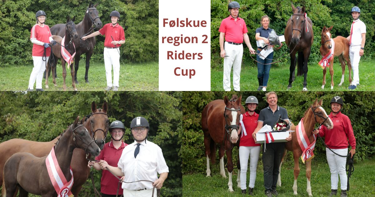 Otte føl til Eliteskue fra Riders Cup