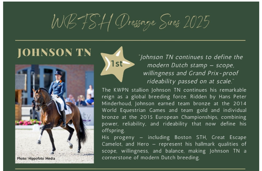 Avlshingstenes ranglister