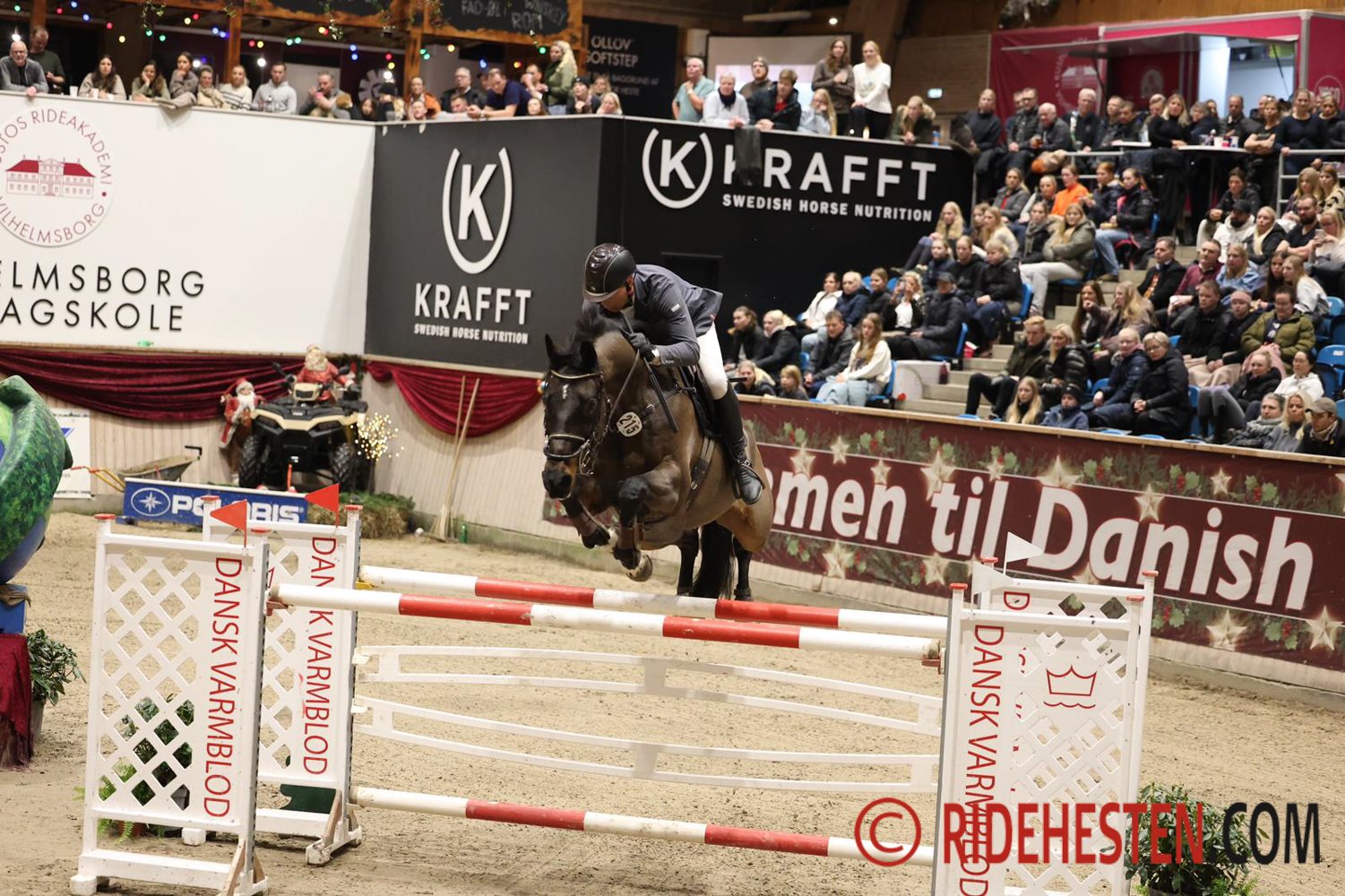 DV-hingst vinder Christmas Grand Prix