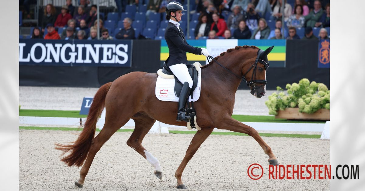 Quinn G solgt til Fiona Bigwood