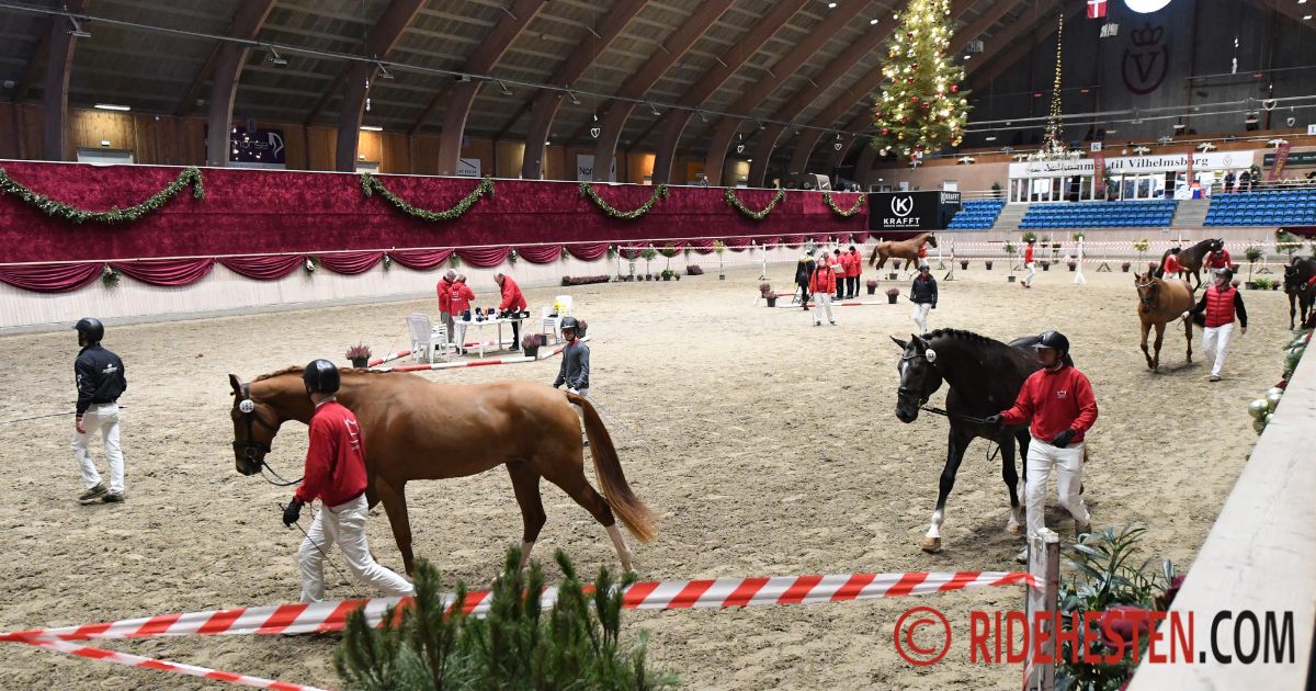 Forbesigtigelse på Vilhelmsborg