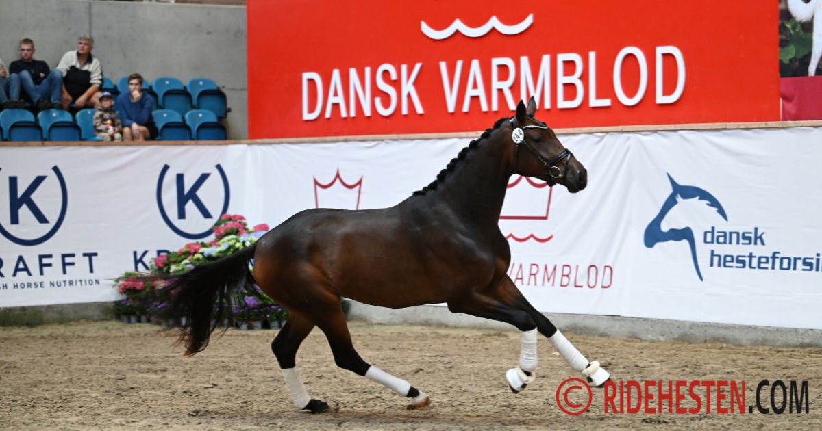 Husk 2-års skuer rundt om i landet