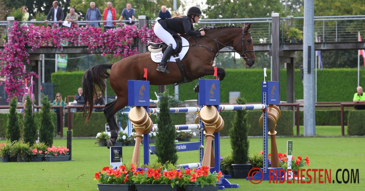 Projekt Dansk Springhesteavl flytter ud i regionerne