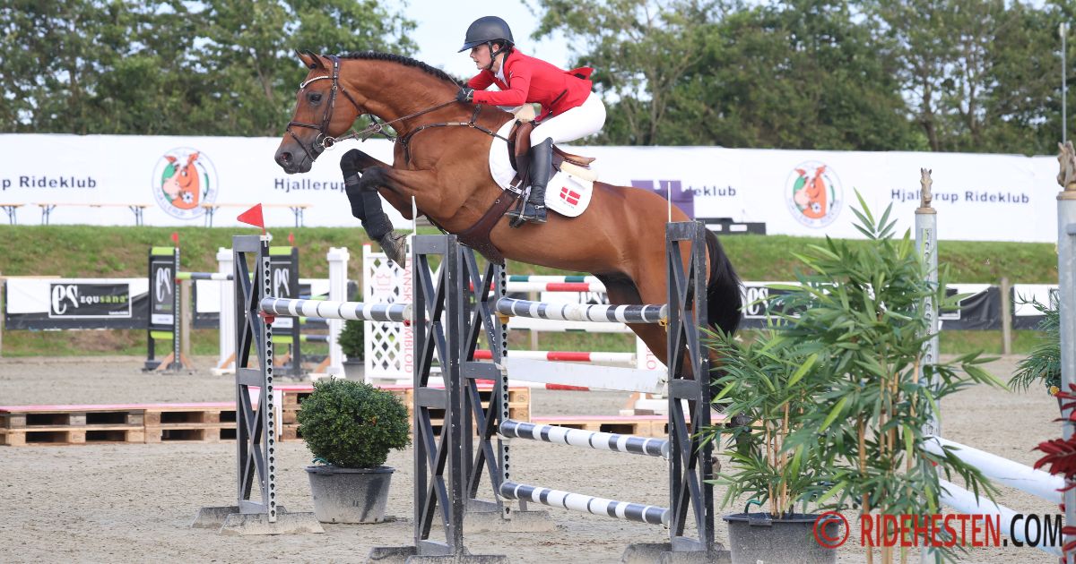 Elitehoppen med tre afkom på Ask